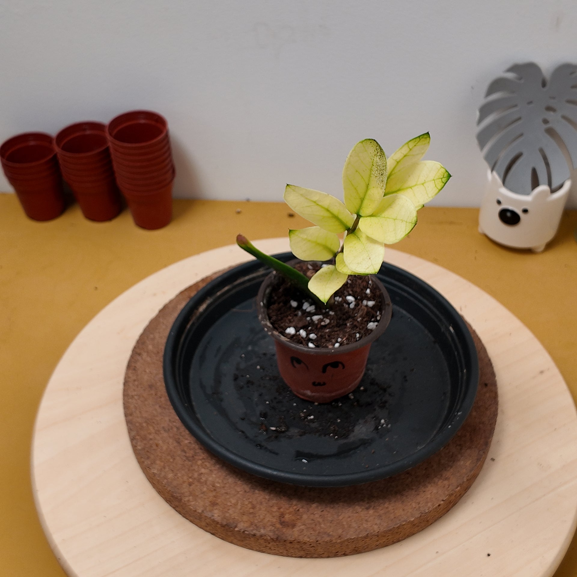Addictoplantes.fr